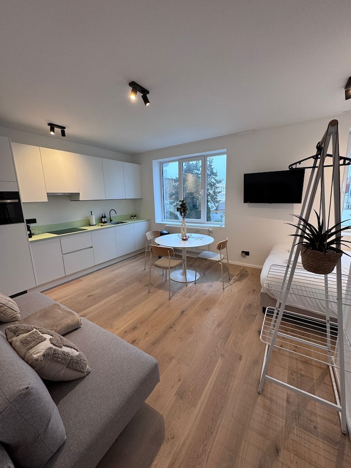 Comfortabele Studio 3p Vlakbij Gent Centrum(op +2) - Gent