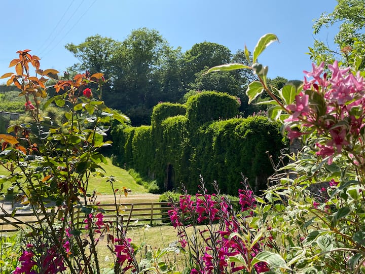 Barn Conversion With A Castle Wall - Plymouth