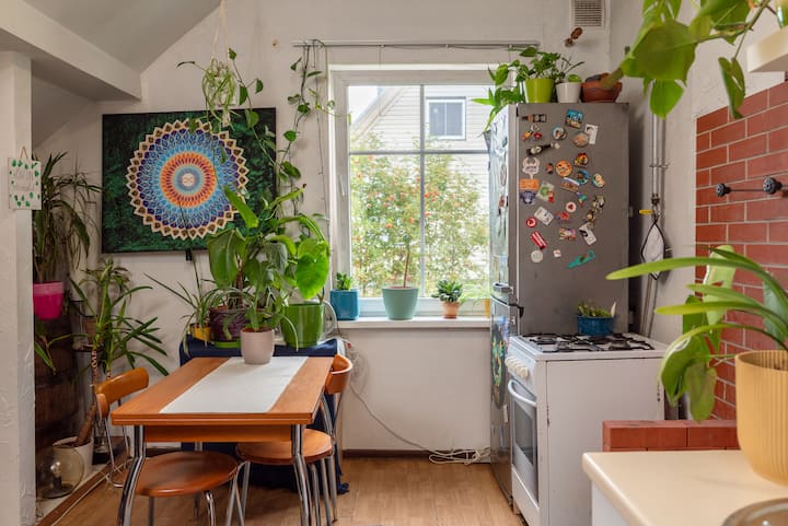 Urban Jungle: 100+ Plants | Walk To Old Town - Tallinn