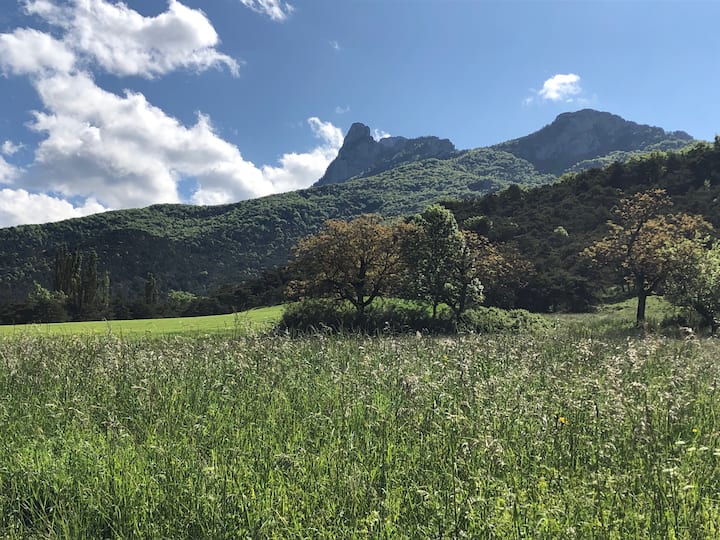 Appartement Hyper Centre De Die - Die