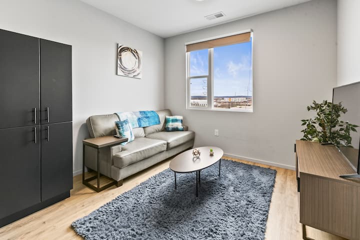 Stylish 1bd | Downtown Omaha | Gym Included | Wifi - Omaha, NE