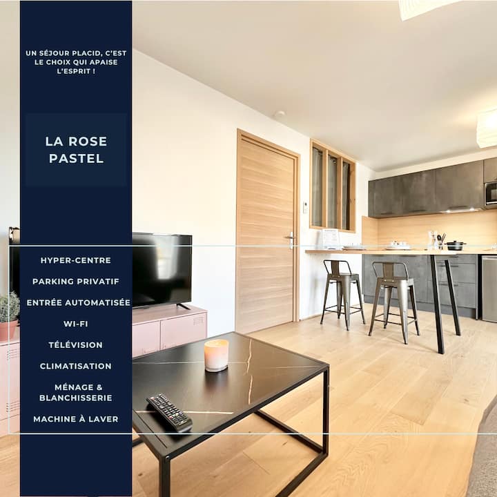La Rose Pastel - Parking - Central - Mont-de-Marsan