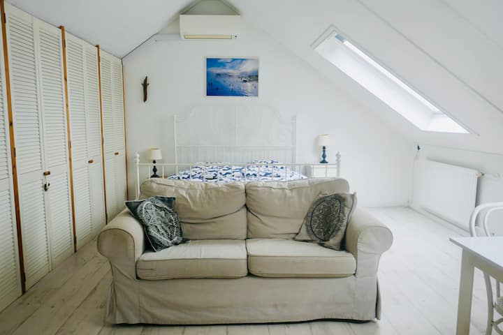 Silver Moon B&b - Superior - Leiden