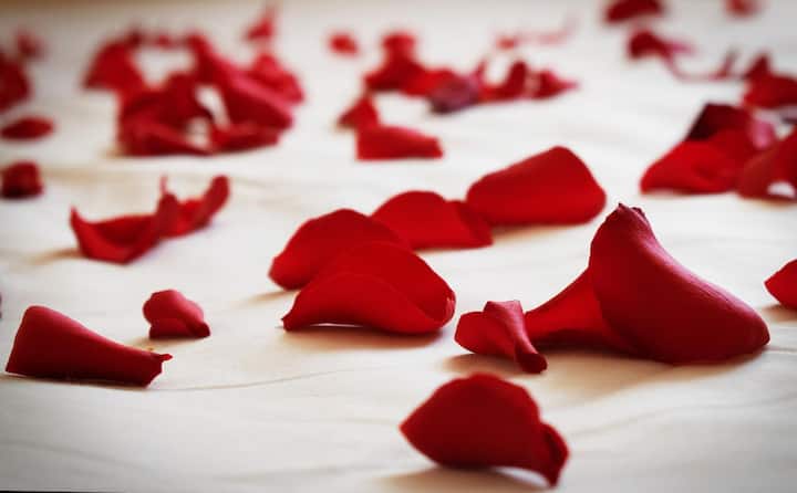 Le Refuge Desmasses - Saint-Malo