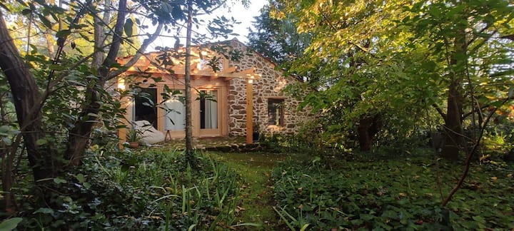 Casa Da Ginkgo - Castelo