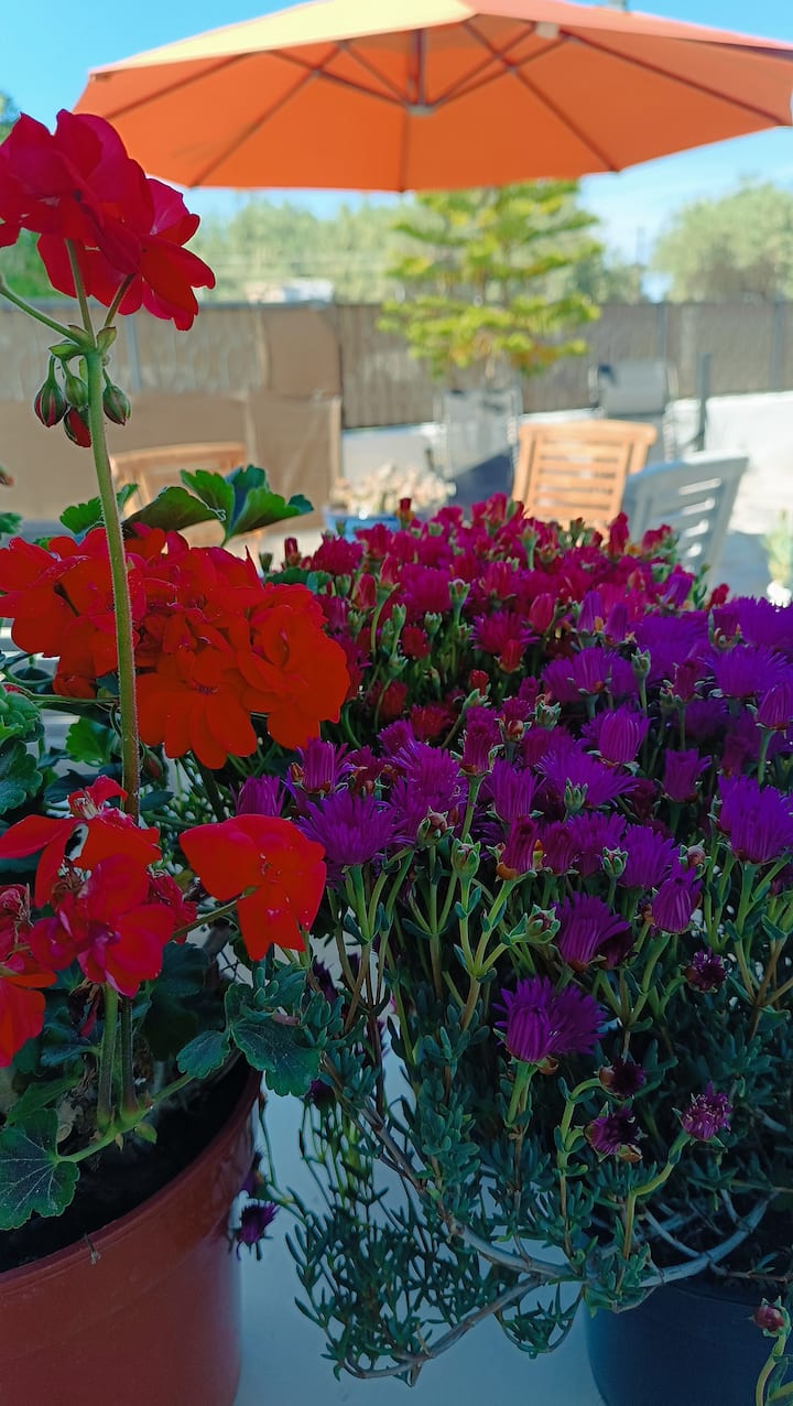 Lyra's House - Skiathos