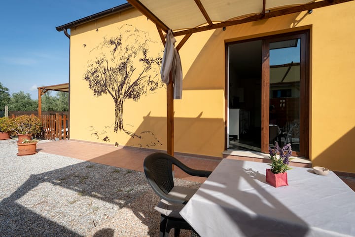 Junior Suite With Veranda And Pool - Piombino