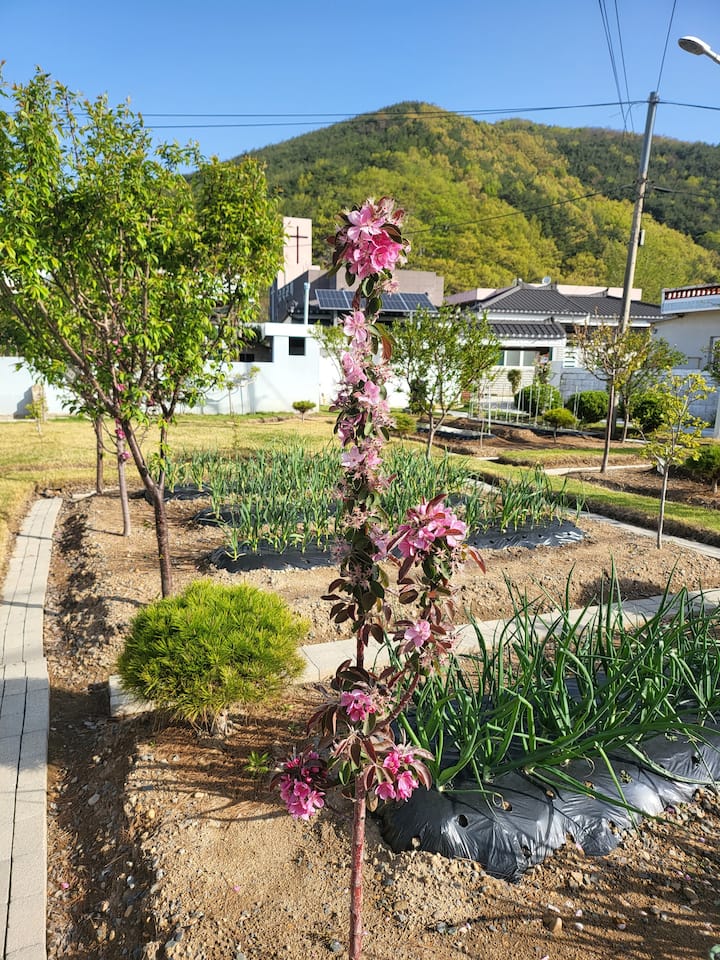 금곡선샤인
金谷太阳
Golden Valley Sunshine - 삼문동