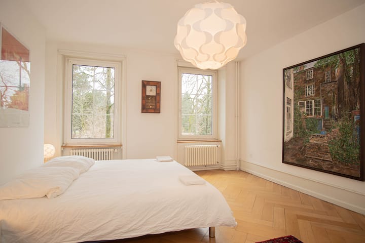Two Floor Apartment With Garden & Baselcard - Basilea
