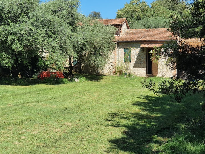 House In The Heart Of Green Hills - Terni