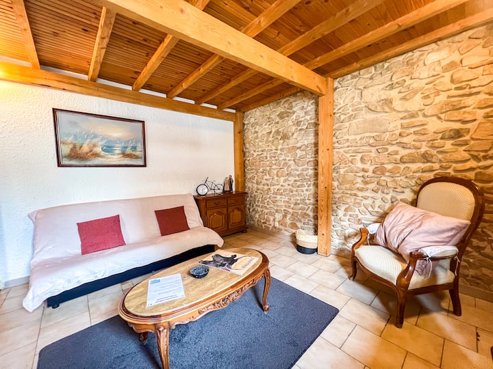 Le Cirque Romain, T3 Proche Arènes, Centre - Nîmes