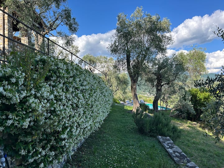 Charming Apartment Villa With Pool - Rapallo