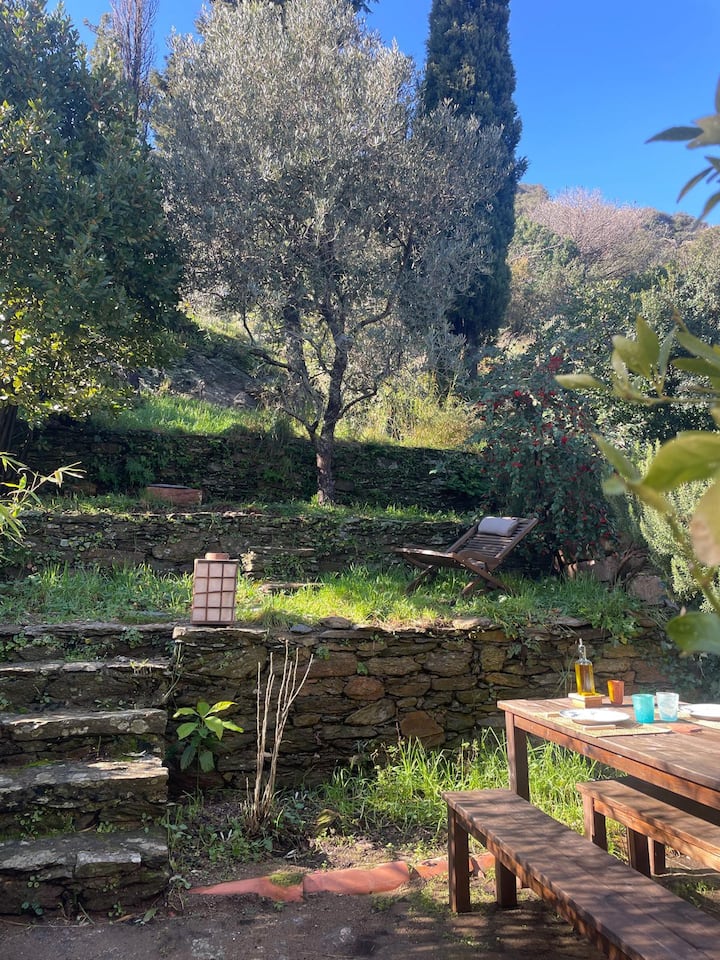 Maison Provençale Avec Jardin - La Garde-Freinet