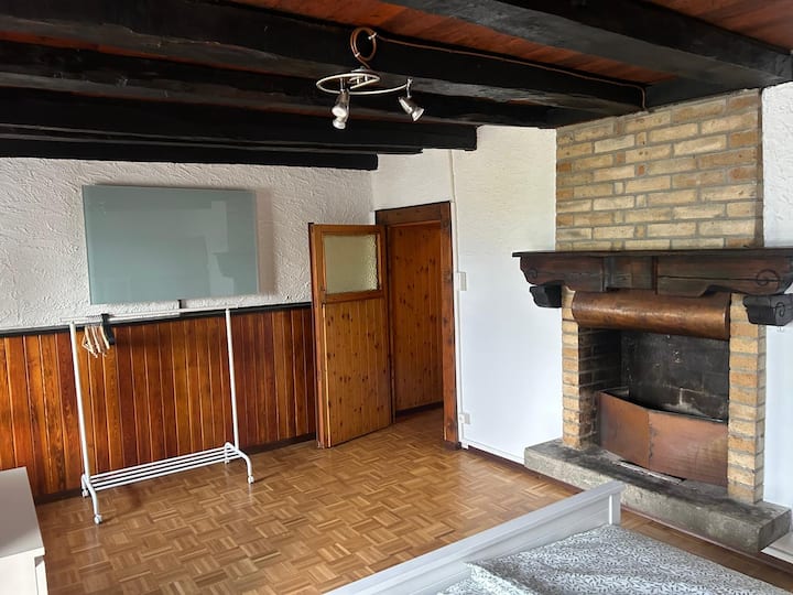 Ara Gesa Old Cottage Monte Bar - Lugano