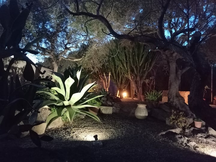 Casa Indipendente Con Giardino. - Sant'Antioco