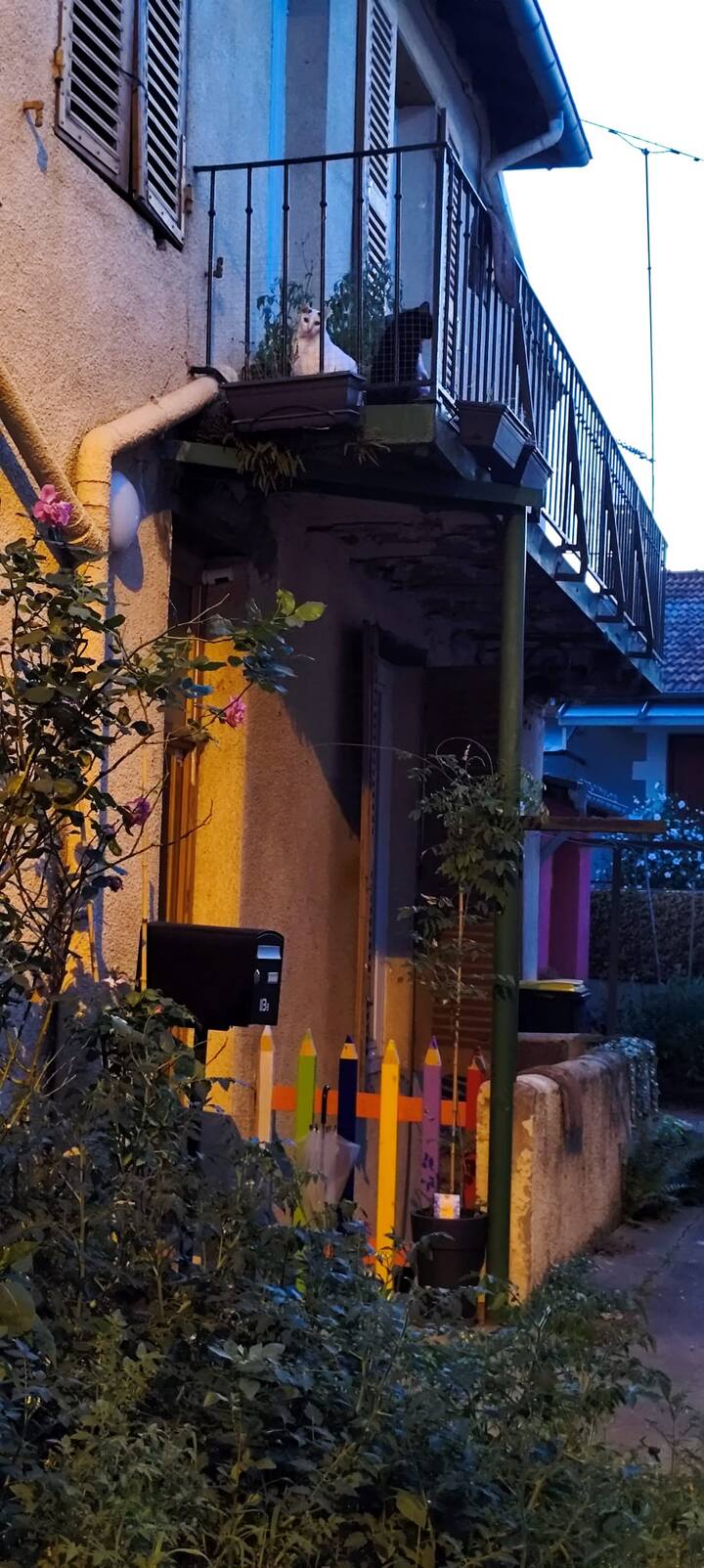 Confort Et Convivialité - Roanne
