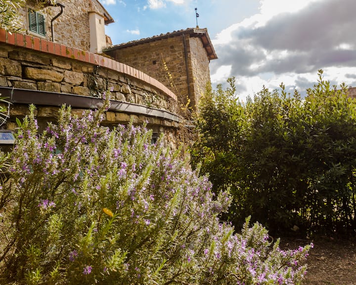 Fattoria Poggio Di Fiesole - Fiesole