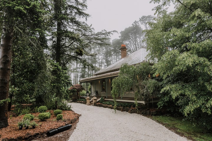 Misty Mountain Retreat. Gorgeous Views And Gardens - Katoomba