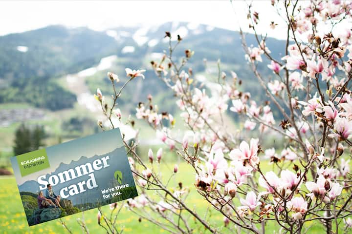 Erika - Gartenlodge Hauser Kaibling (Von Mynests) - Schladming