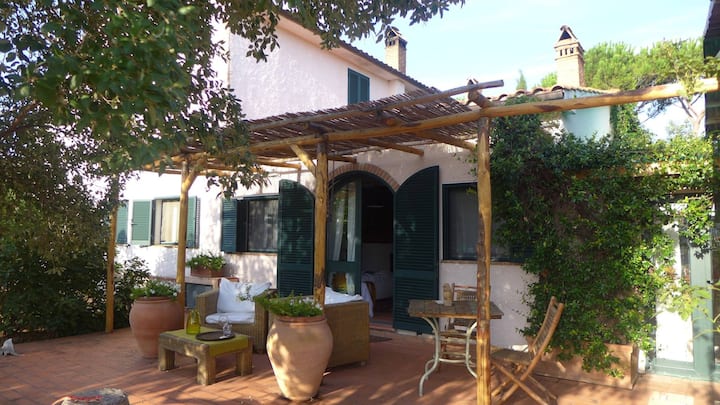 At Home In Maremma - Grosseto