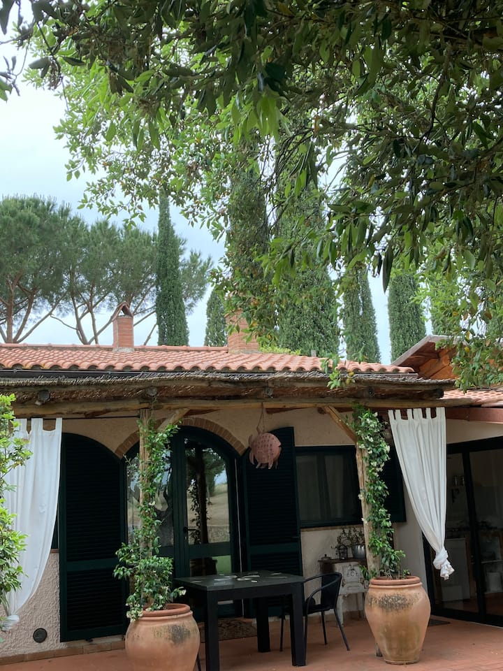 At Home In Maremma - Grosseto