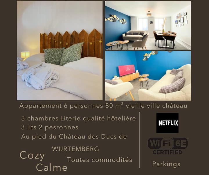 Cozy  Appart F3 80m²  6pers  Vieille Ville Château - Montbéliard
