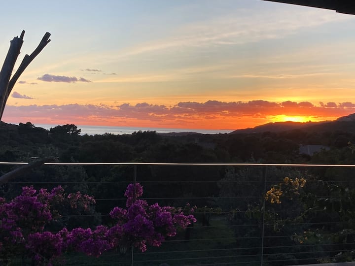 Appartement Neuf Type T2 - Pianottoli-Caldarello