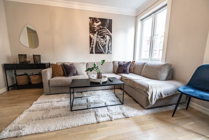 Koselig Og Sentral Leilighet - Oslo