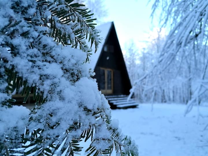 Cottage Koča Oaza Preske - Laško