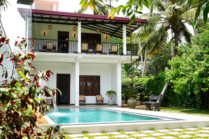 Bluelip Ceylon - Sri Lanka