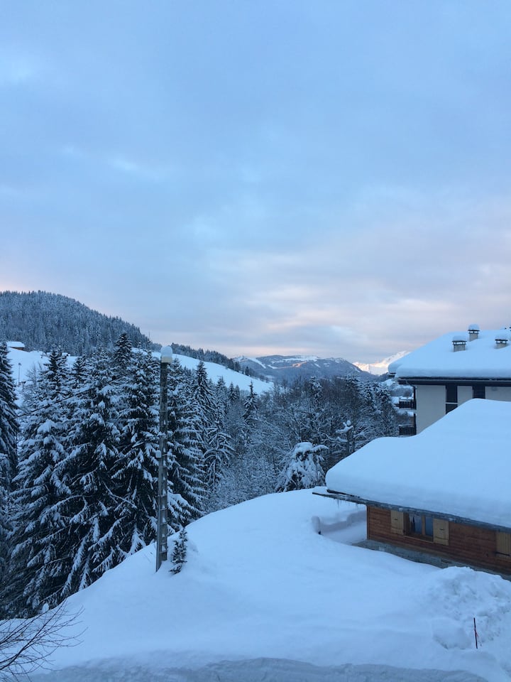 Grand-bornand/ Bel Appt 6 Pers. Superbe Vue Piste - Le Grand-Bornand