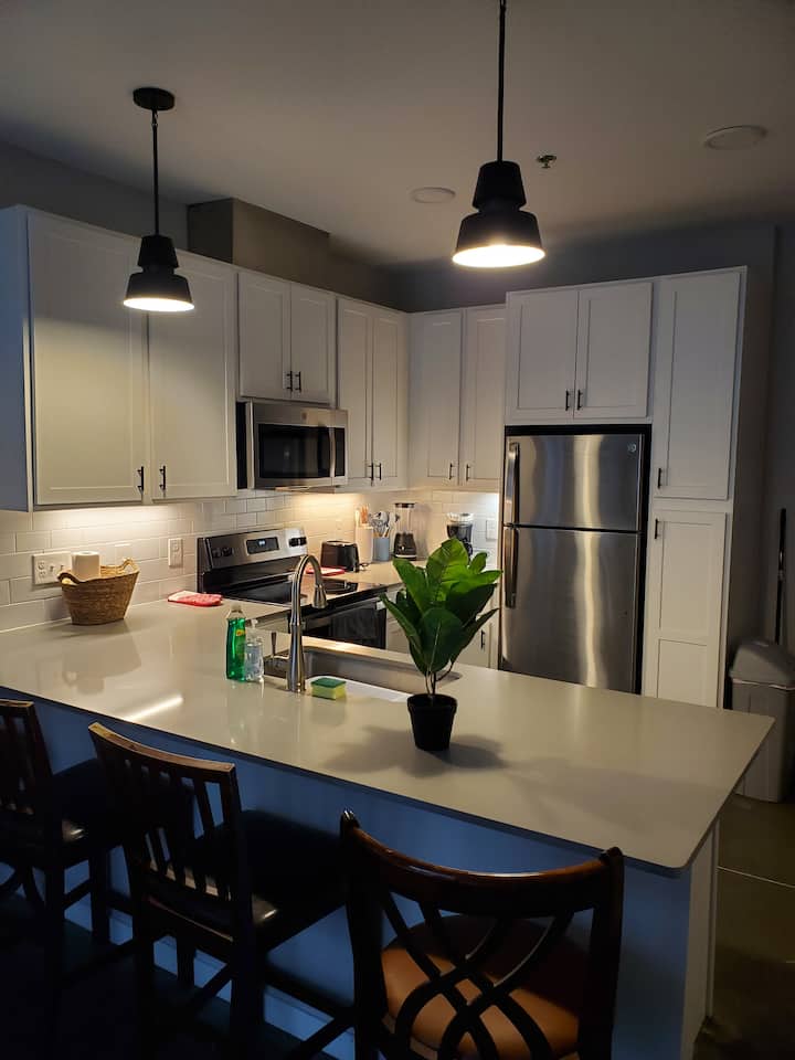 Cozy 1 Bedrm Apt Near Csu, Cwru, Cleve Clinic. - Cleveland