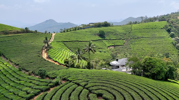 Tea Harmony Bunglow A Private Pool Villa - Vagamon