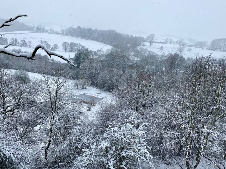 Wentworth Park Cottage - Hexham