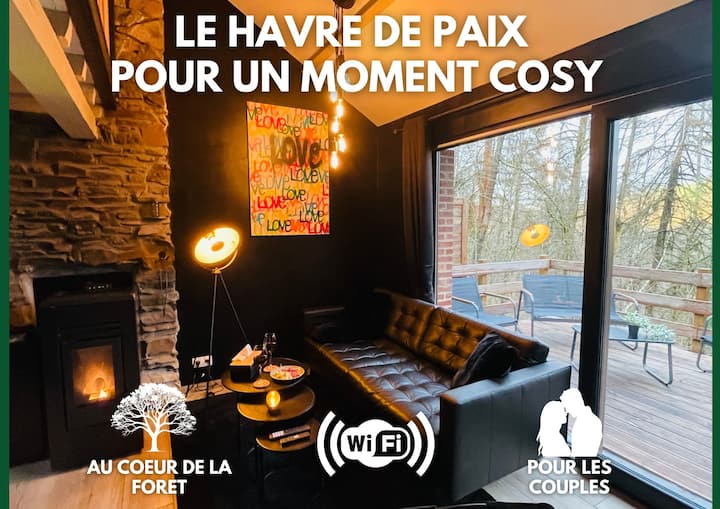 Le Cosy Wood - Hastière