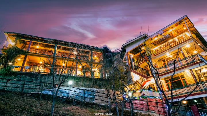 Timberwolves Vintage Manali - Manali