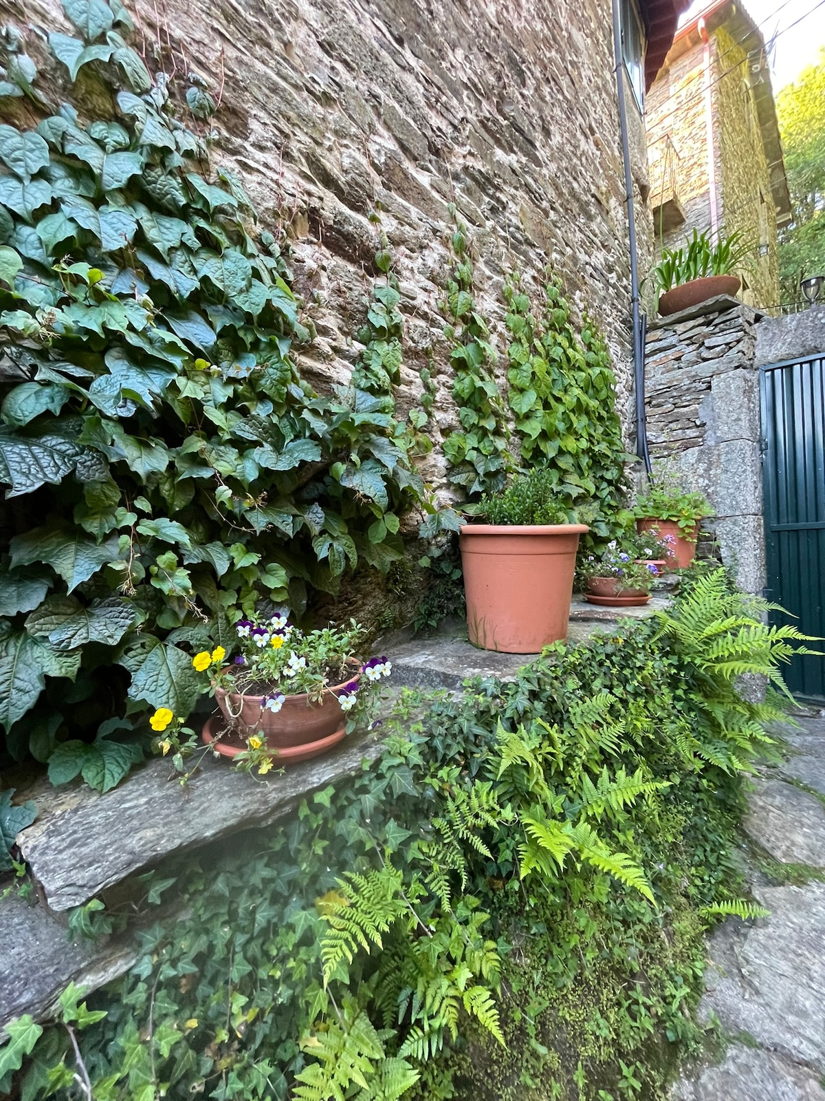 Casa Redonda - Houses for Rent in Alvite, Ourense, Spain - Airbnb