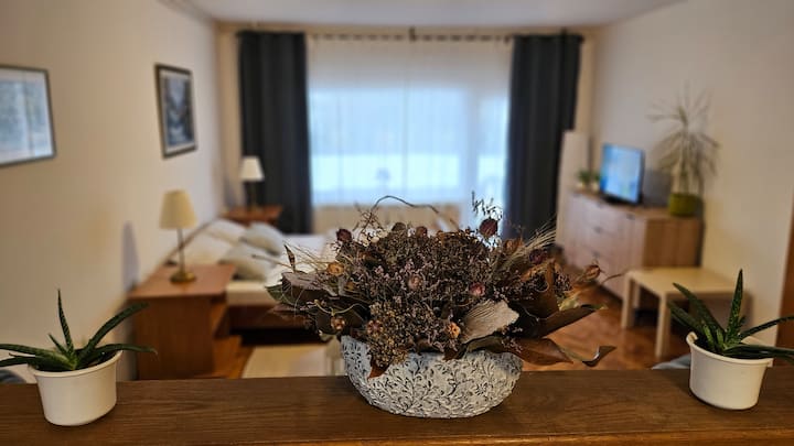 Apartman Angel - Garešnica