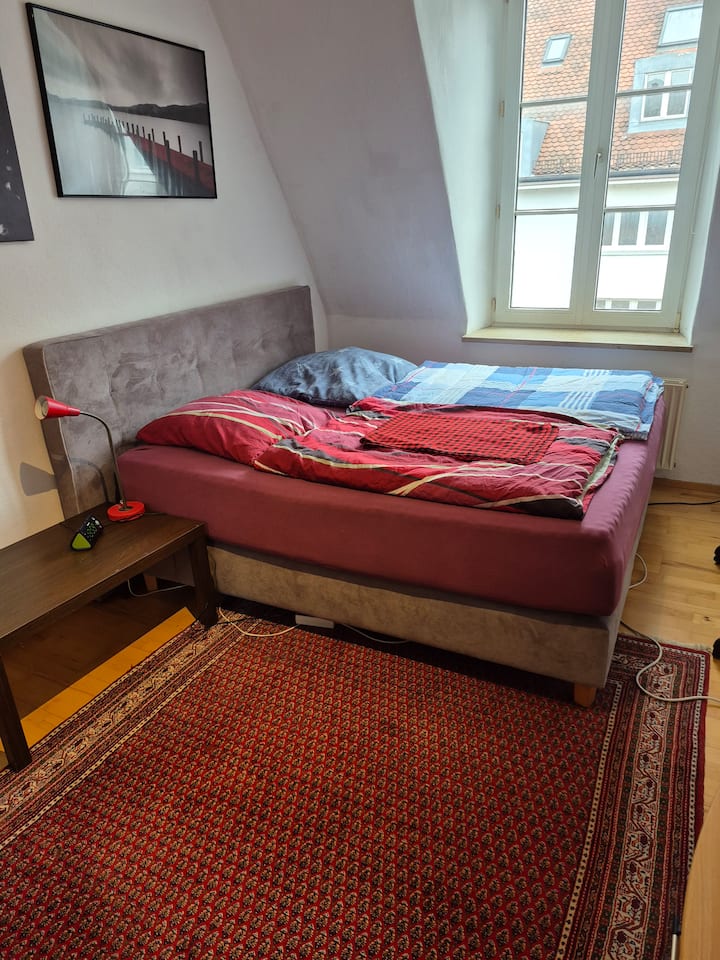 Zimmer Im Zentrum Münchens - Munich