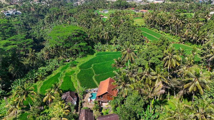 Luxury Jungle Yoga Pool Villa 5km N Of Ubud! - Ubud