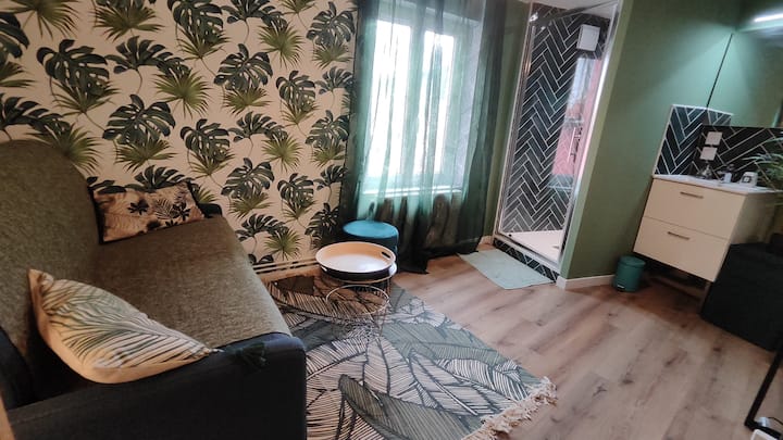 Cosycoloc - Calme Avec Sdb Privé & Netflix - Rouen