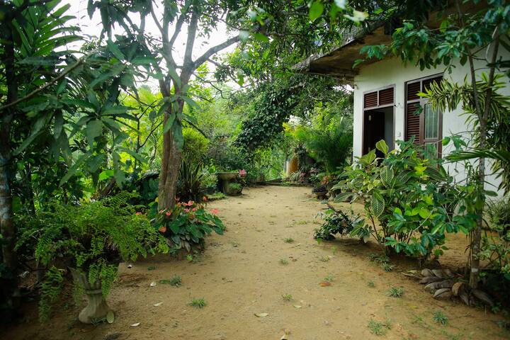 Nature Villa Mirissa 2 Bedroom House - Mirissa