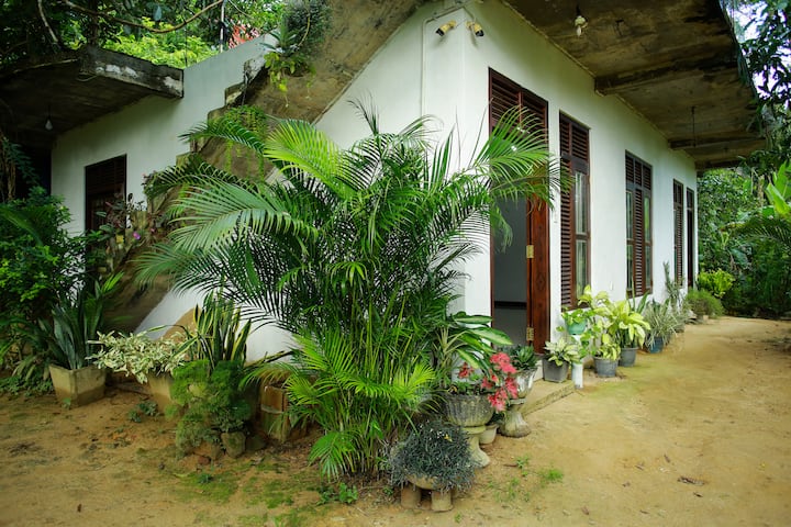 Nature Villa Mirissa 2 Bedroom House - Mirissa