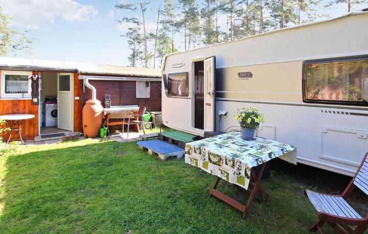 Campingbus / Wohnmobil - Rheinsberg