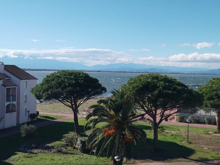 Appartement En Bord D'étang - Le Barcarès