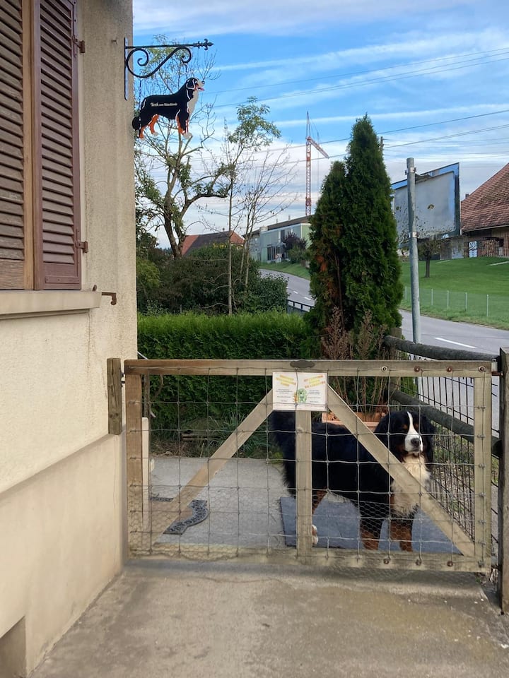 A La Ferme Bibera - Murten