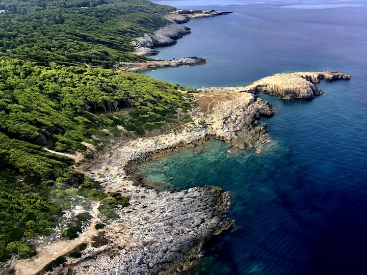 La Casa Di Elio: Pitosforo Camera - Isole Tremiti