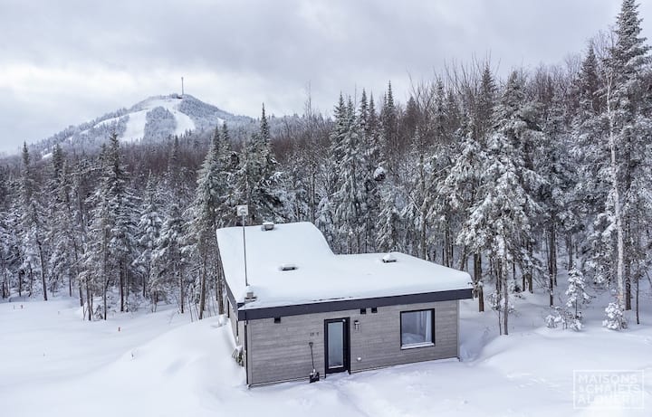 Le Touti | Spa | Ski | Golf | Moderne | Foyer - Thetford Mines