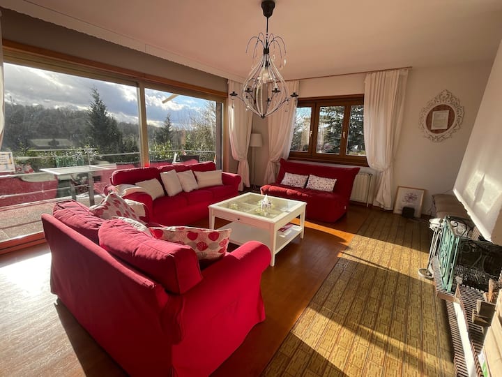 Villa Du Lion D'or - La Petite-Pierre
