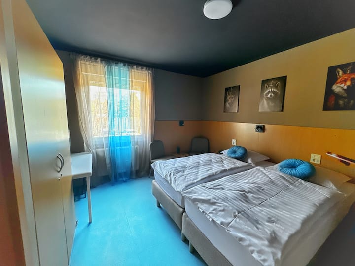 Cosy Room For 2 | City Center - Nova Gorica
